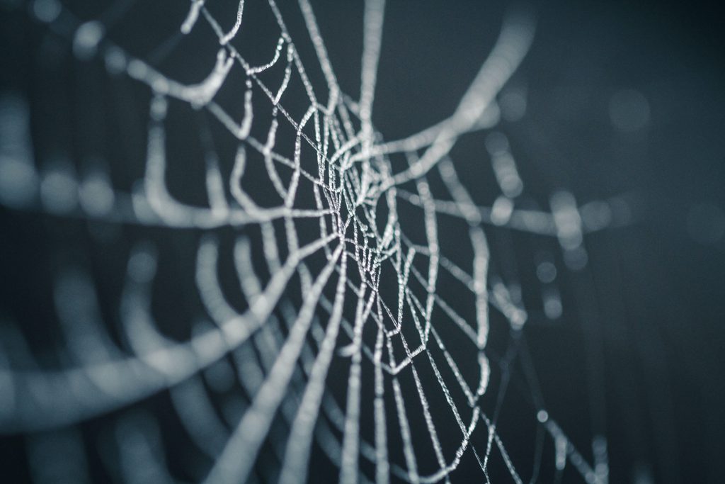 ennabl to enable connected data for insurance brokerage